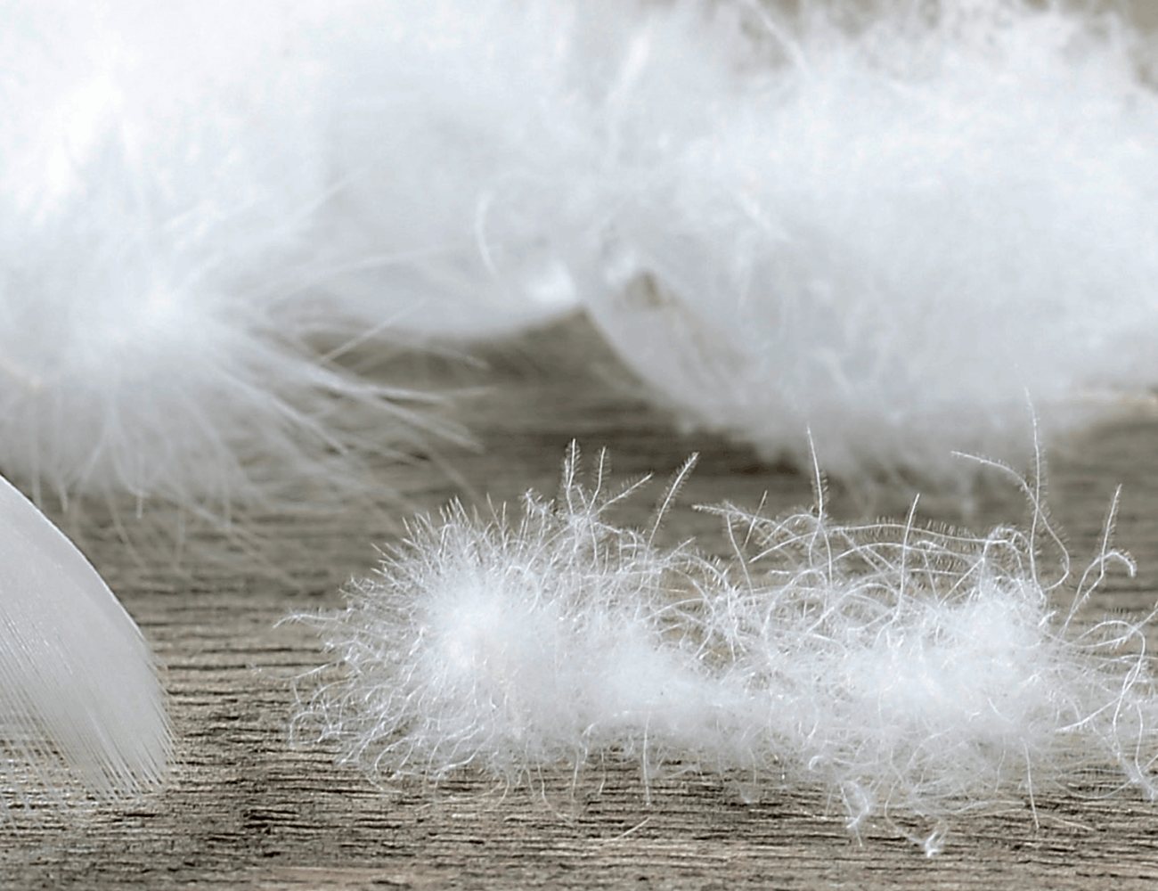 Goose Down Comforters: Soft, Warm & Breathable Bedding Guide | Three Geese